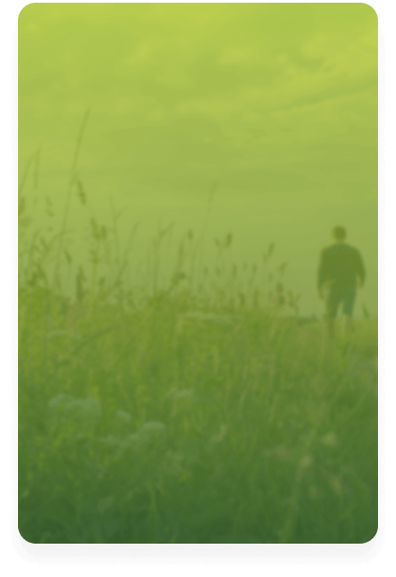 References - Nomentia